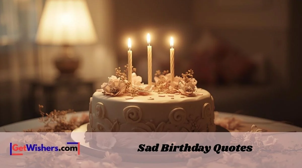 255+ Sad Birthday Quotes - getwishers.com